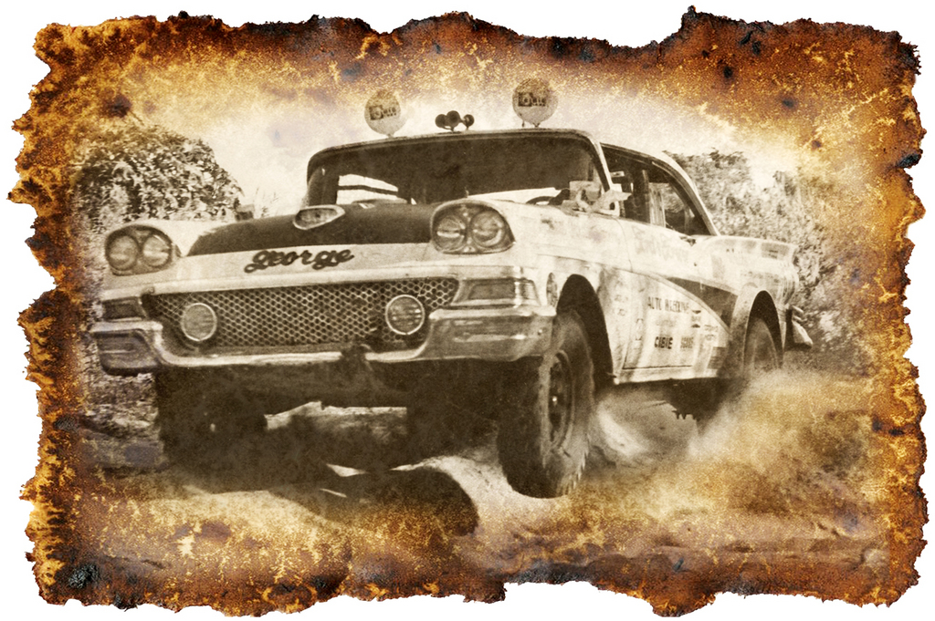 Help us Restore George to his Racing Form! | Rally.org